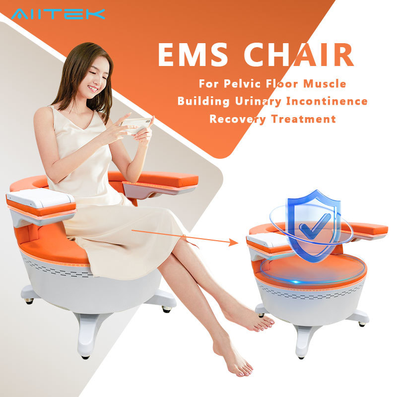 Neo HIEMT EMS Teslasculpt Emslim Electro Magnetic Incontinence Pelvic ...