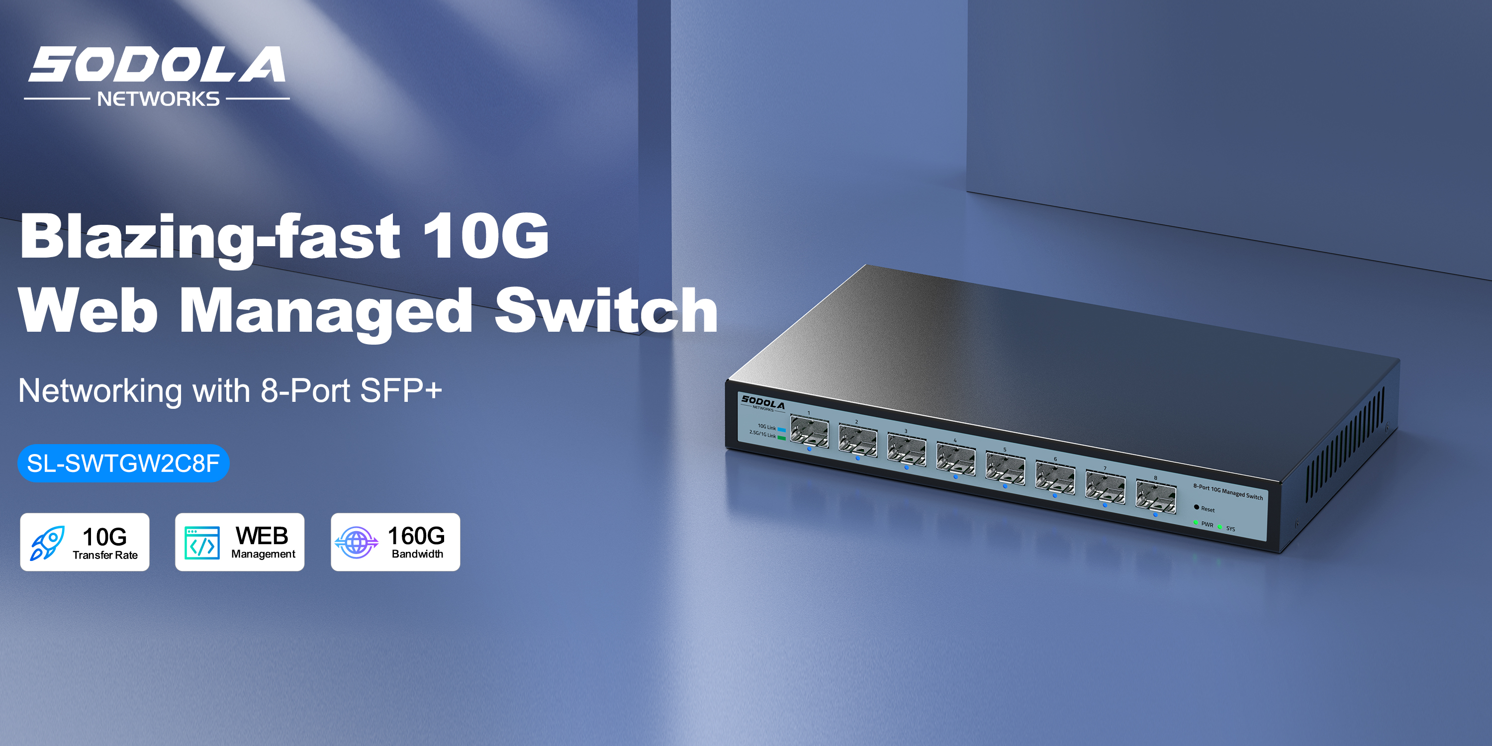 10G Switch