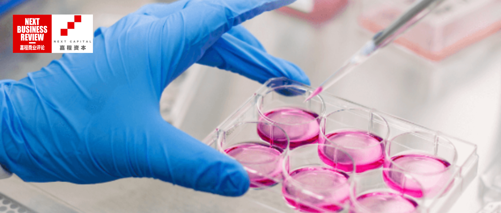 大型投资周报：生物制药公司Vyriad获2500万美元B+轮投资；意大利改性材料生产商OMIKRON获2443万并购