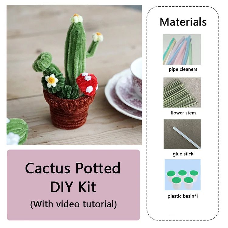 DIY Pipe Cleaners Kit - Cactus Potted