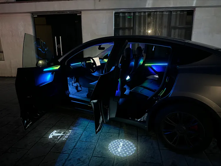 Tesla Model 3/Y Laser Carving Active Ambient Lighting Upgrade Kit | TESLASY