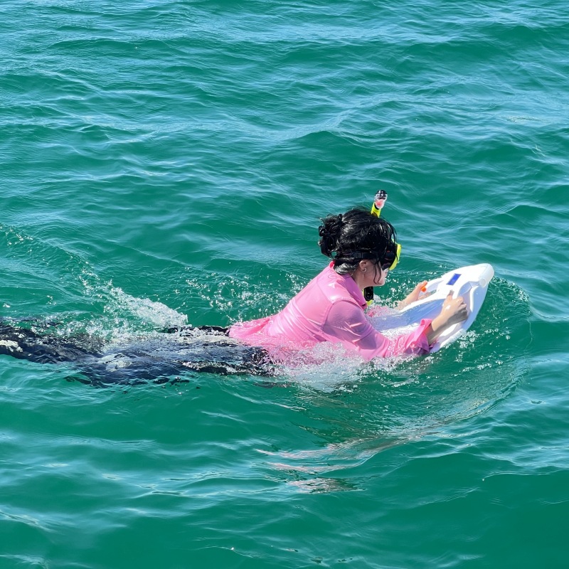 Ultimate Water Adventure Gear: Electric Surfboard, Hydrofoil, Swim ...