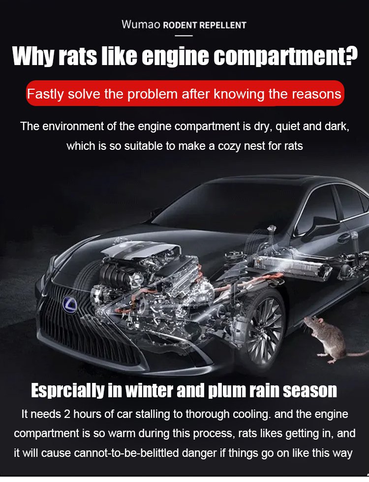 Rat Drive Gold Bead Magic Box（buy 1 get 1 free）